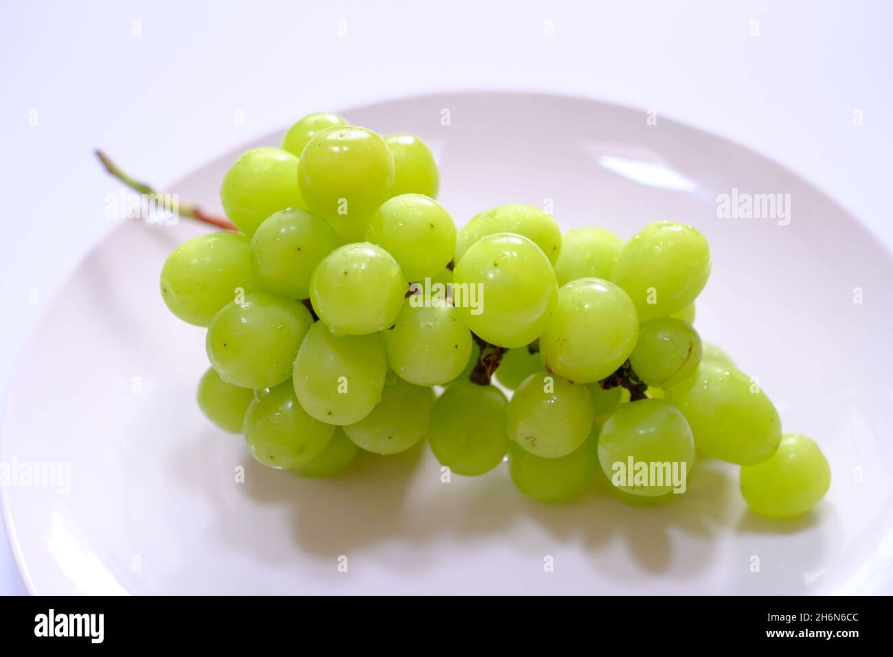 Shine muscat grape hi-res stock photography and images - Alamy