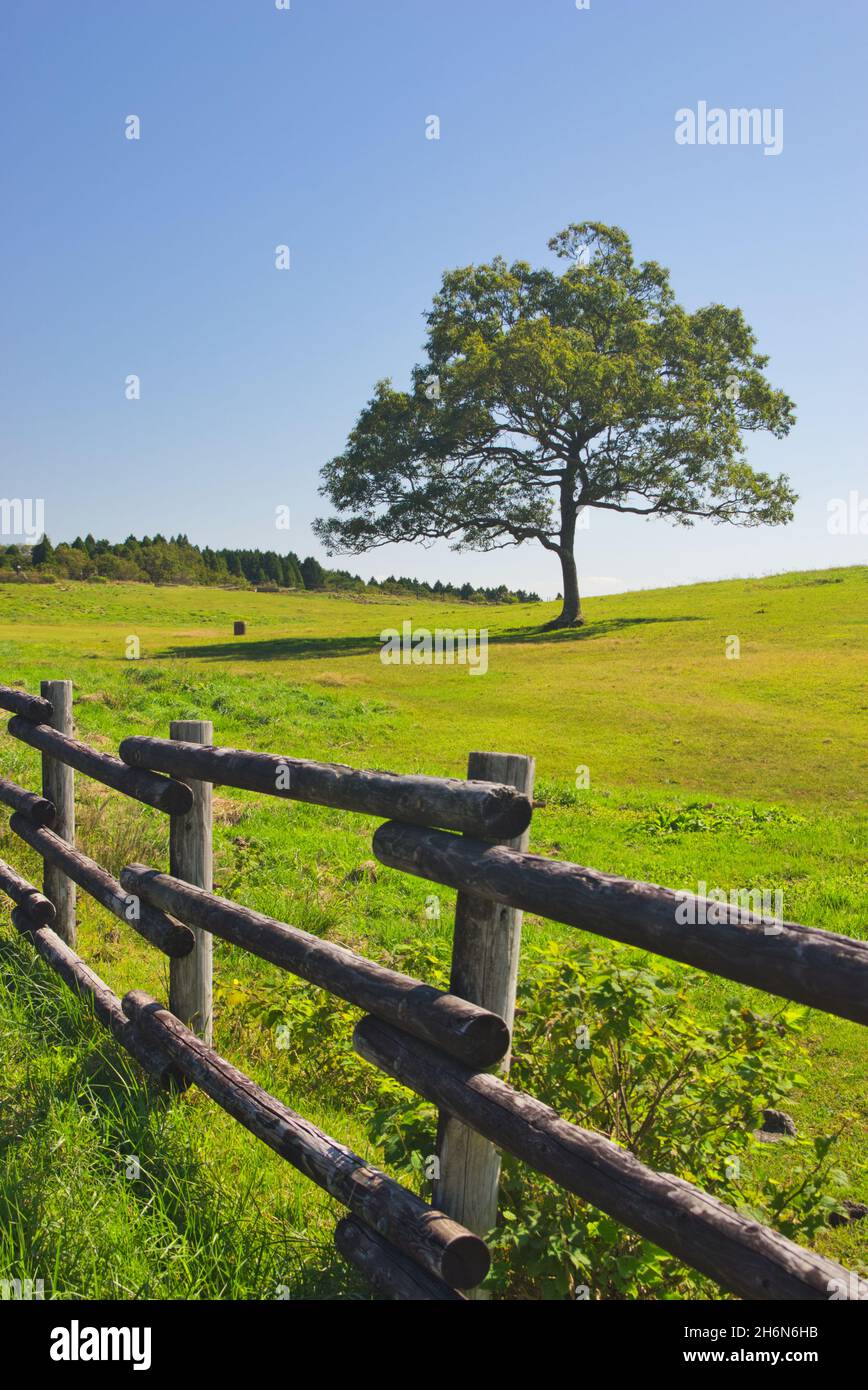 Ranch in Aso, Kumamoto Prefecture, Japan Stock Photo - Alamy