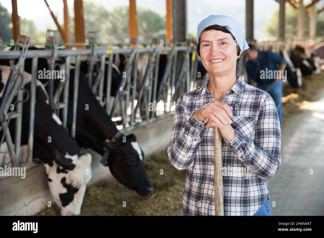 Confident female farmer on cow farm Stock Photo - Alamy