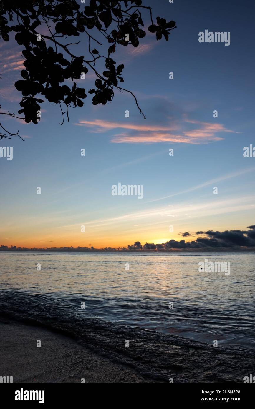 portrait photo of the sea horizon line, in the morning Stock Photo - Alamy
