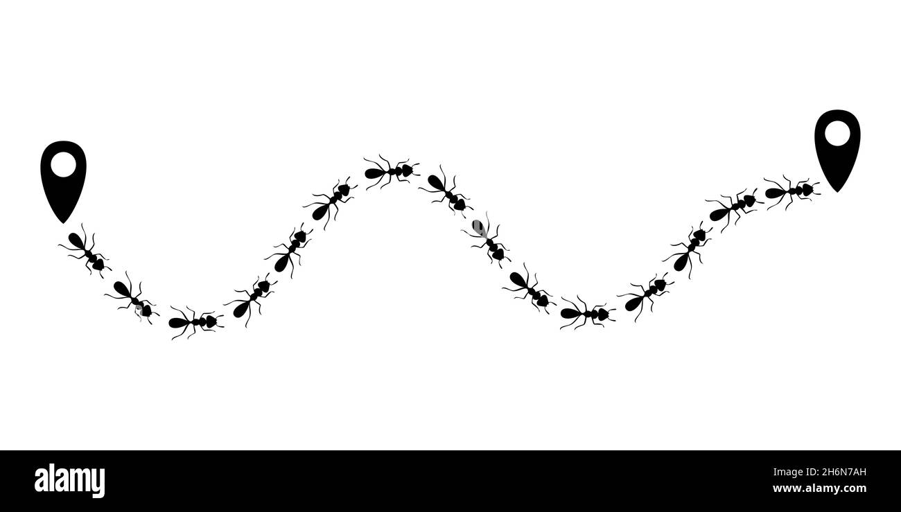 Ants trail with location icons. Route or path isolated in white background. Vector illustration ...