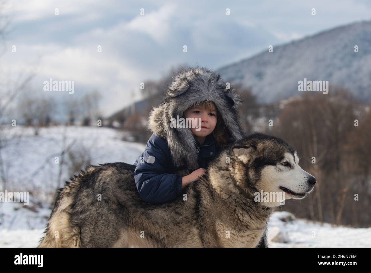 Siberian husky playing with kids hi-res stock photography and images ...