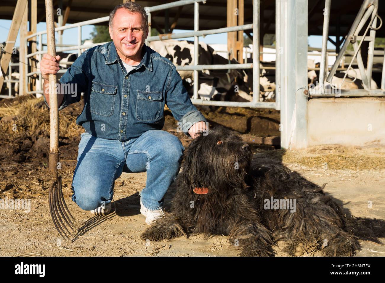 farmer is standing with dog at the cow farm Stock Photo - Alamy