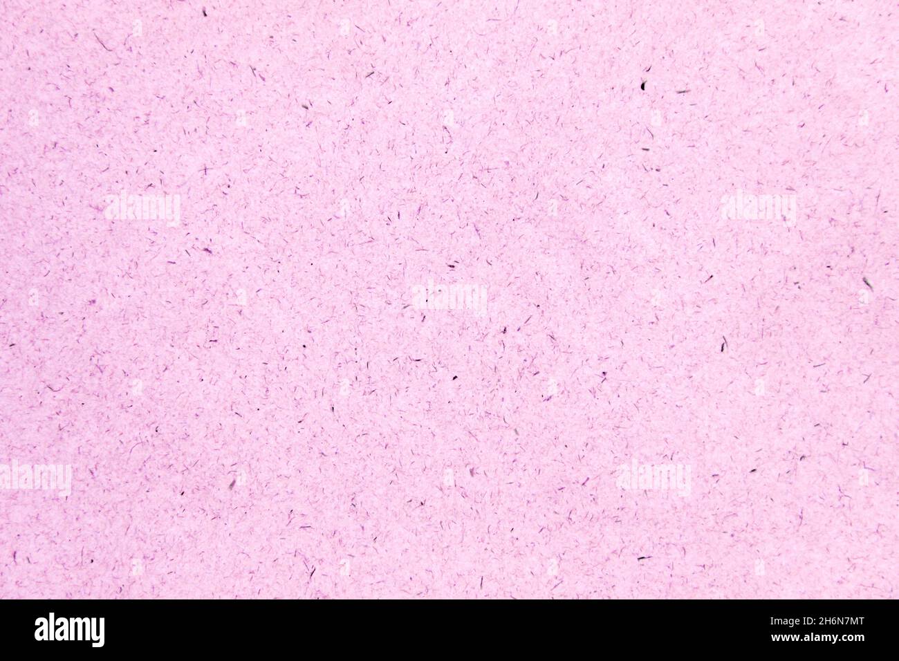 Beautiful paper texture. Delicate and realistic paper texture. For your ...