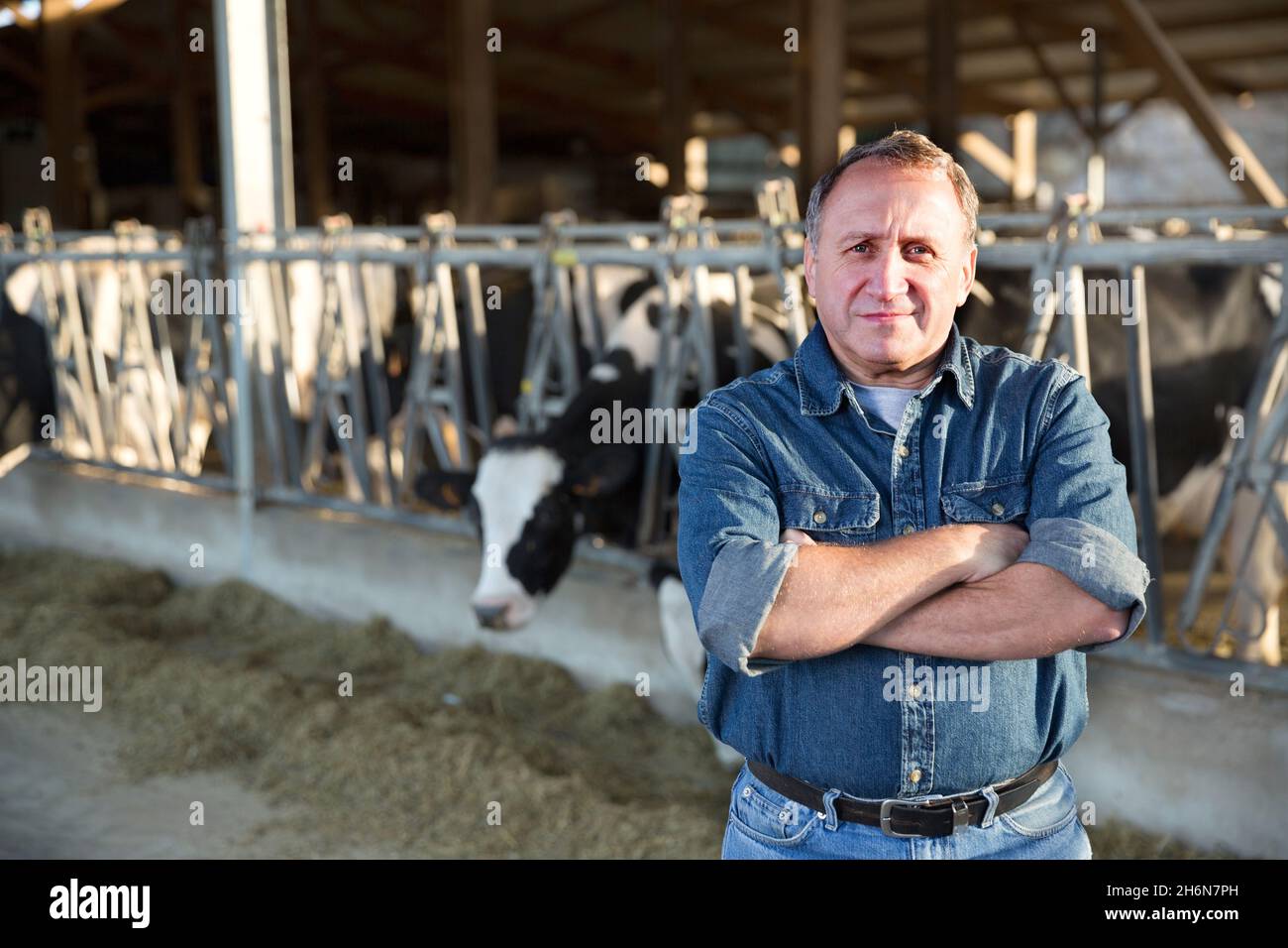 Confident man owner dairy hi-res stock photography and images - Alamy