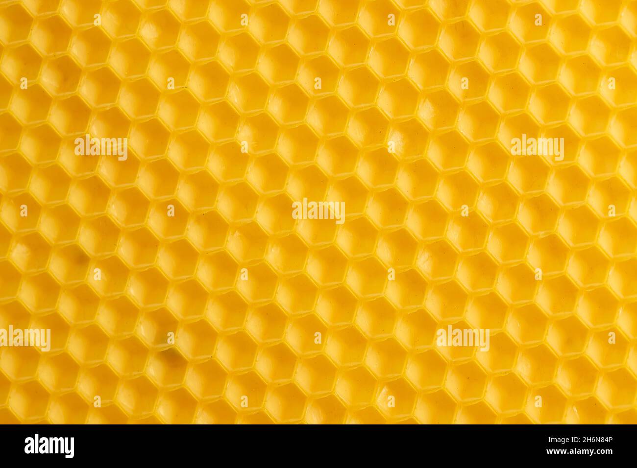 Macro photo abstract background texture of yellow honeycomb wax Stock ...