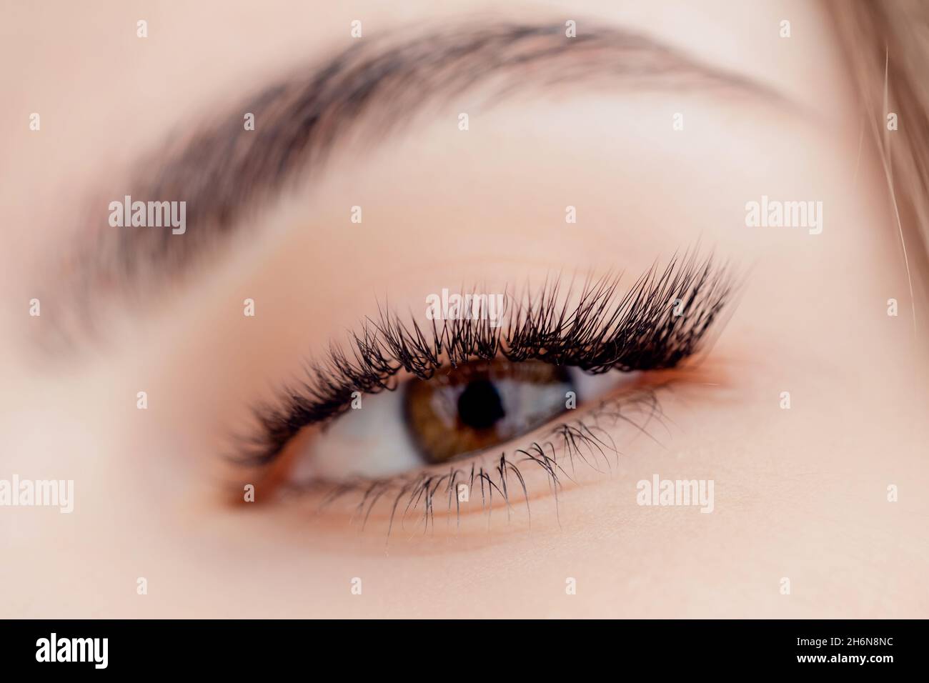 Fashion Portrait arabic young woman with long lash after Eyelash ...