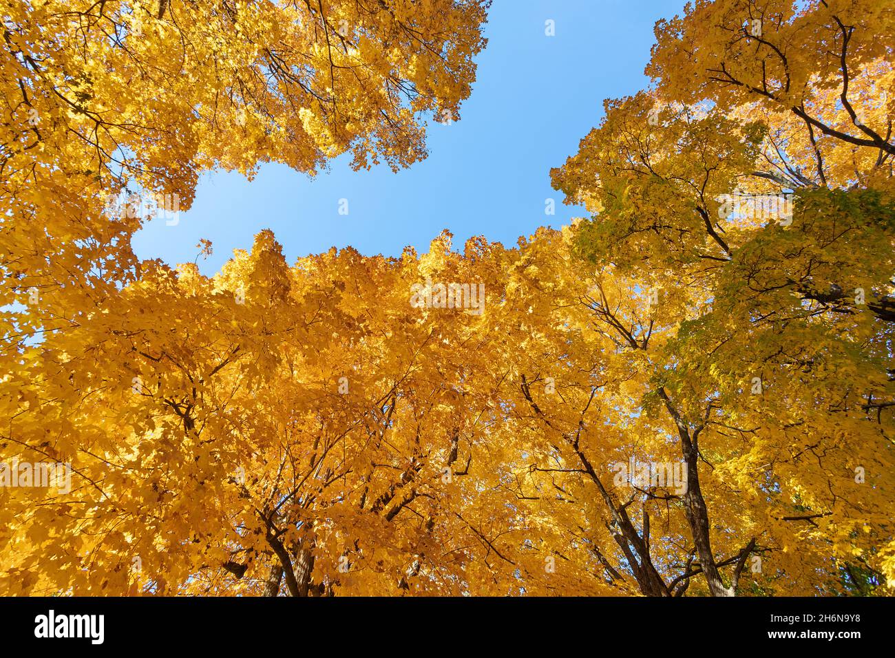 Burlington county park hi-res stock photography and images - Alamy