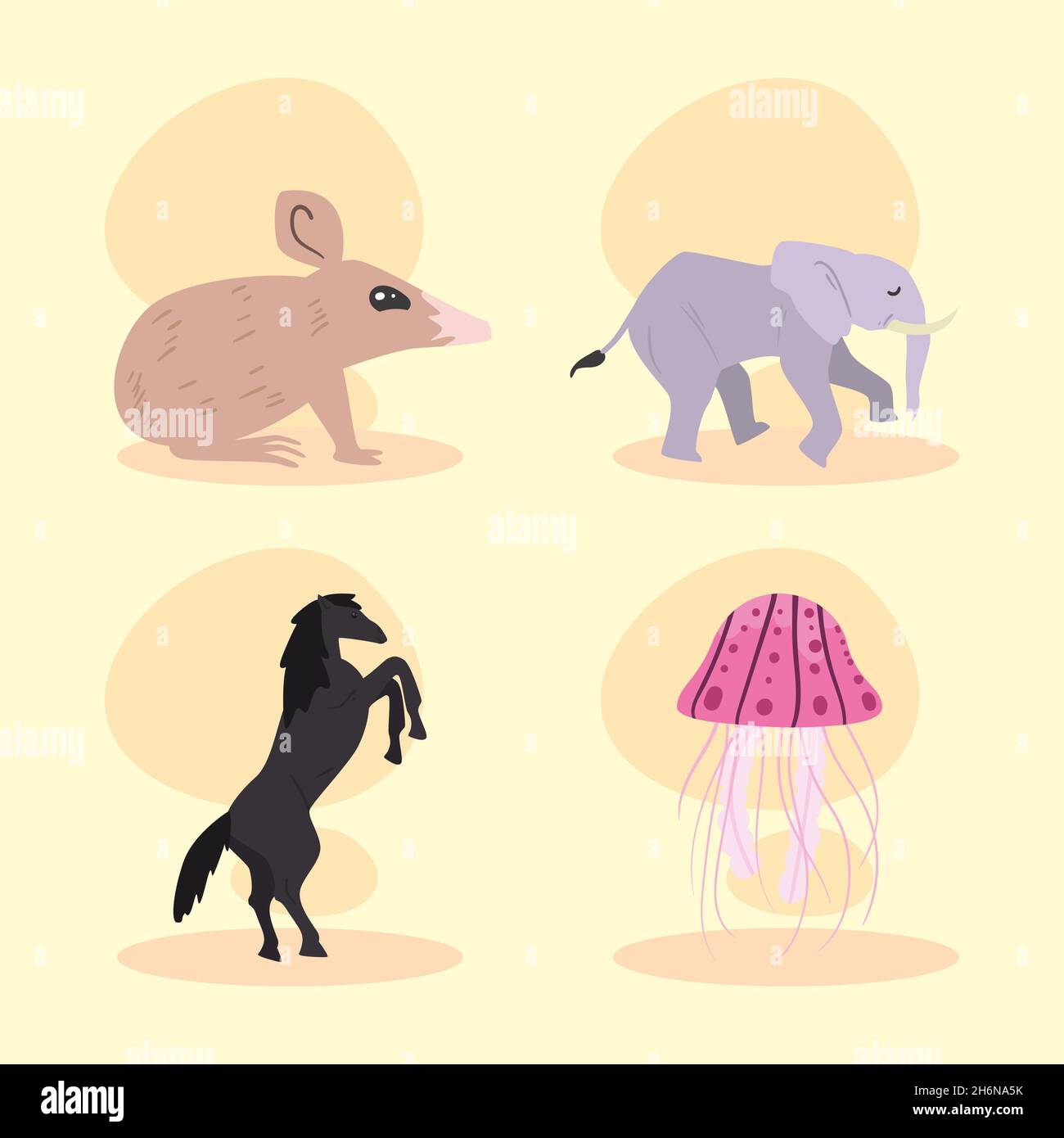set of four cute animals Stock Vector Image & Art - Alamy