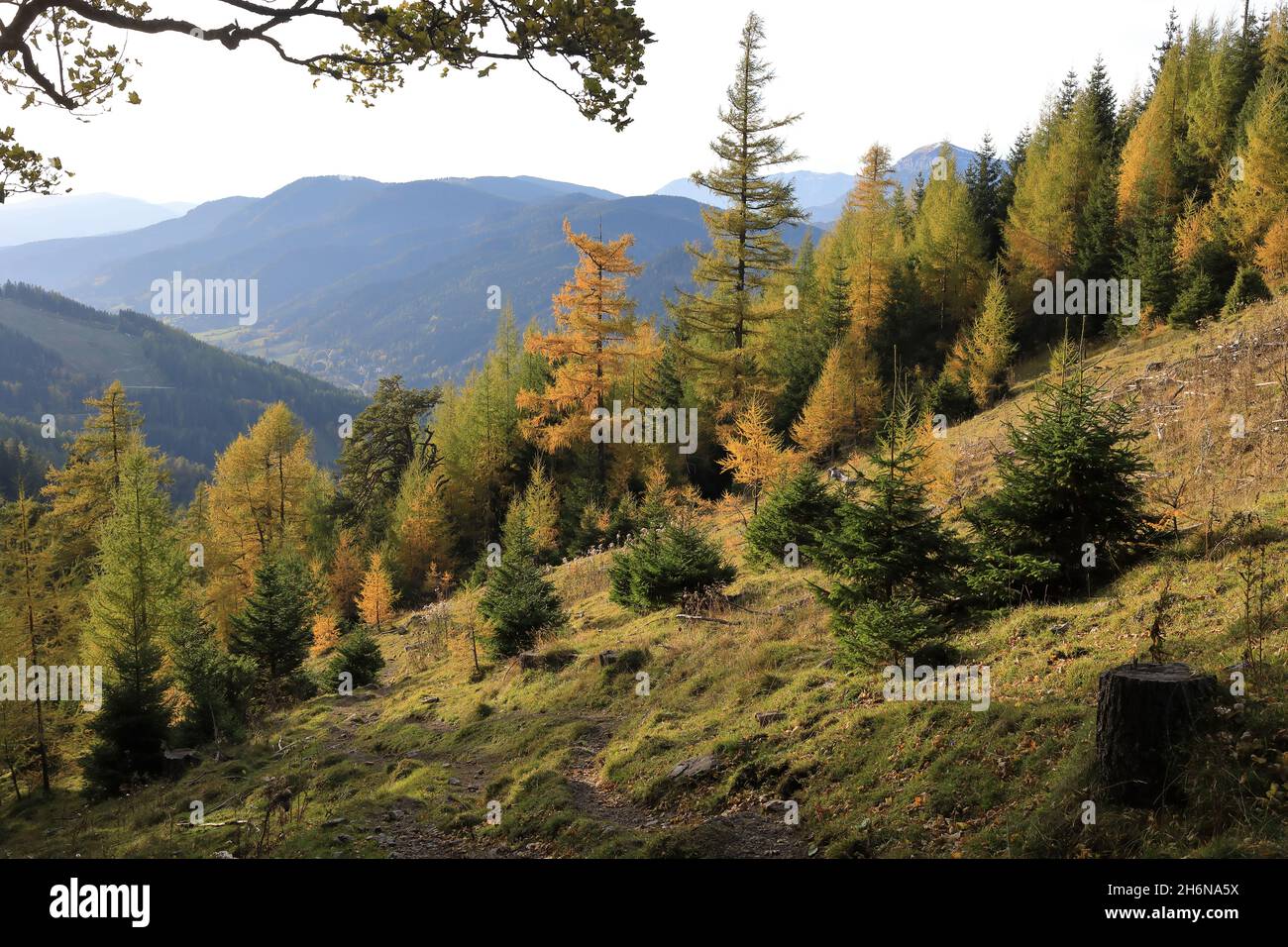 Hiking around Semmering Stock Photo - Alamy