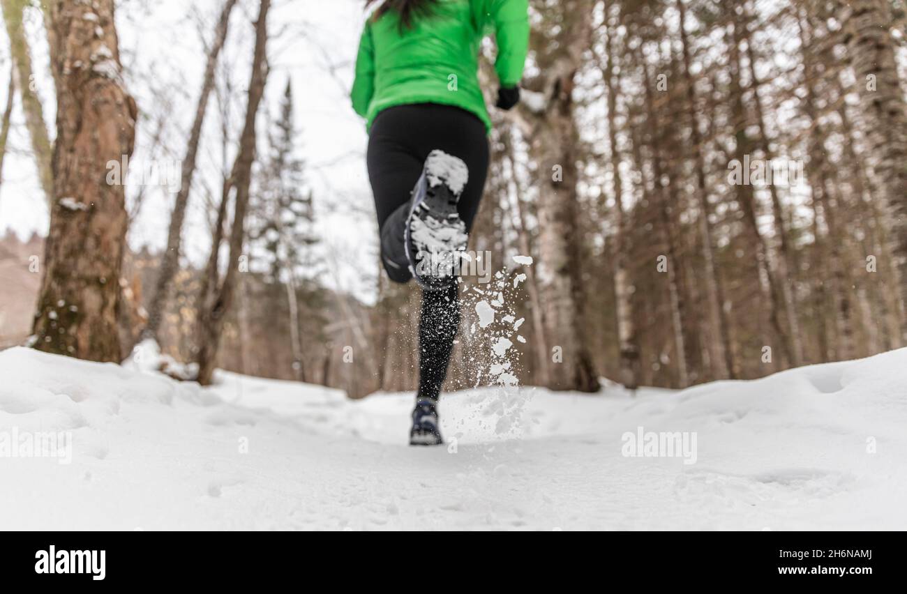 Snowing and forest hi-res stock photography and images - Alamy