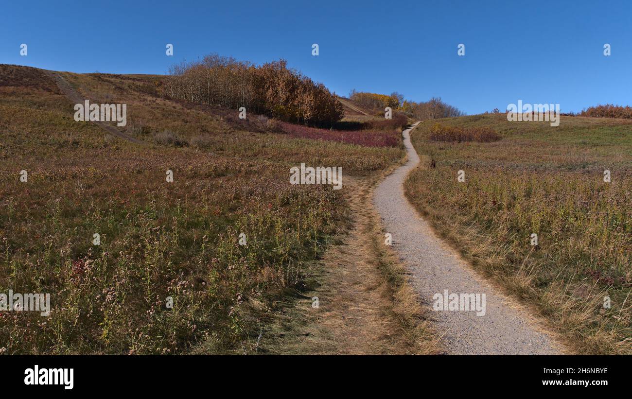 Nose hill park hi-res stock photography and images - Alamy