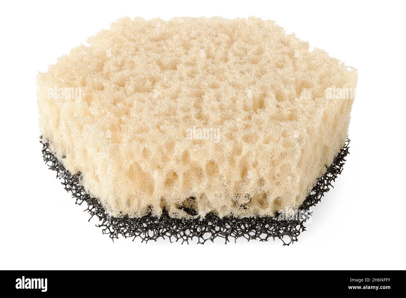Isolated objects: single sponge for washing dishes, on white background ...