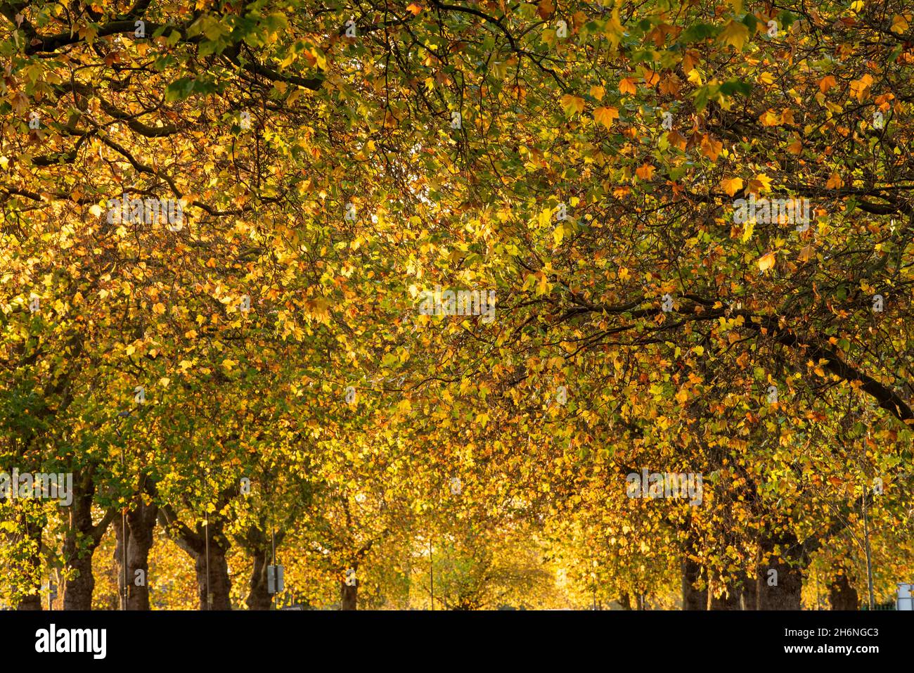 Autumn evening light at Victoria Embankment, Nottingham Nottinghamshire ...