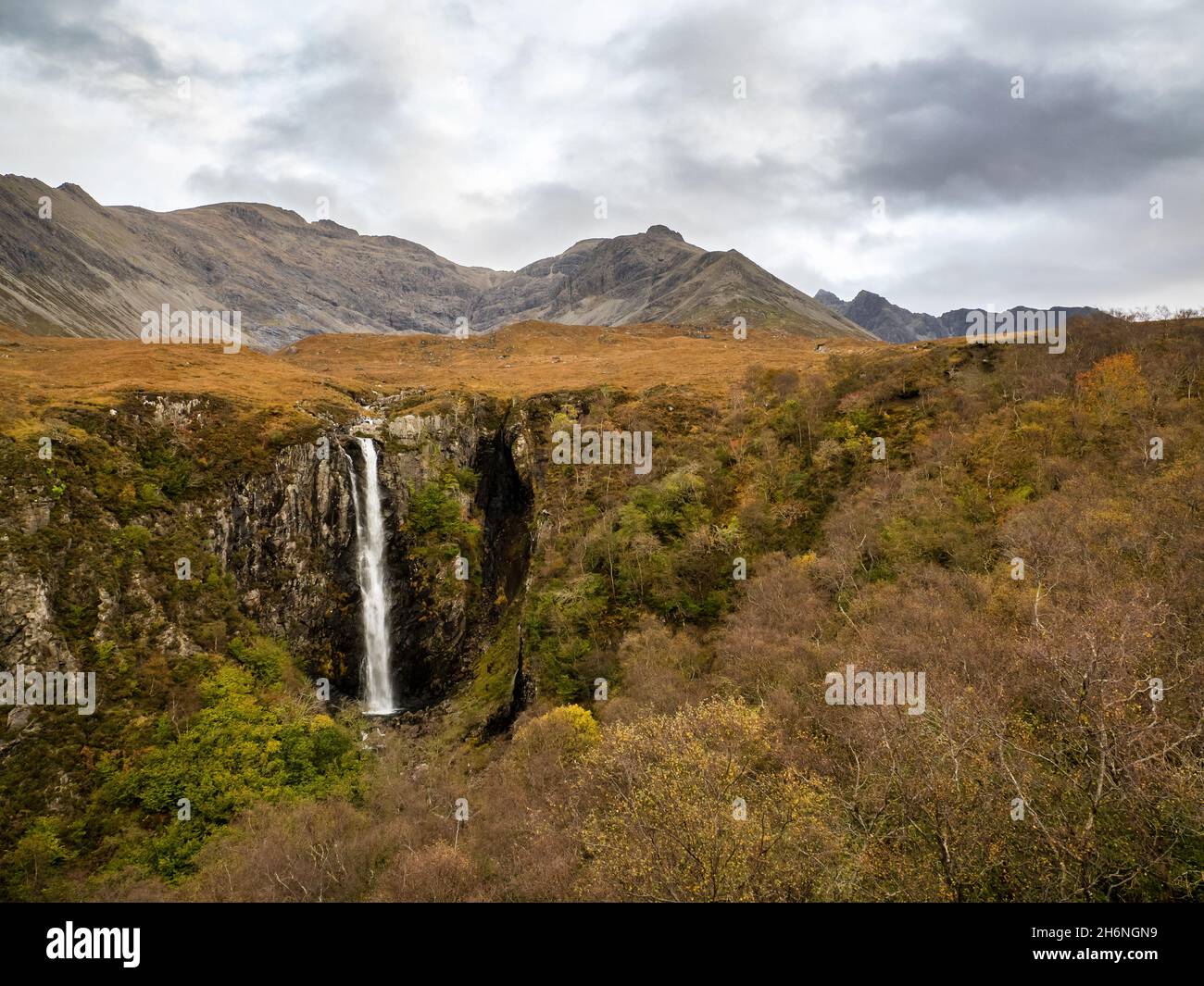 Deer Grass glowing orange in autumn below Sgurr Dearg on the Cuillin ...