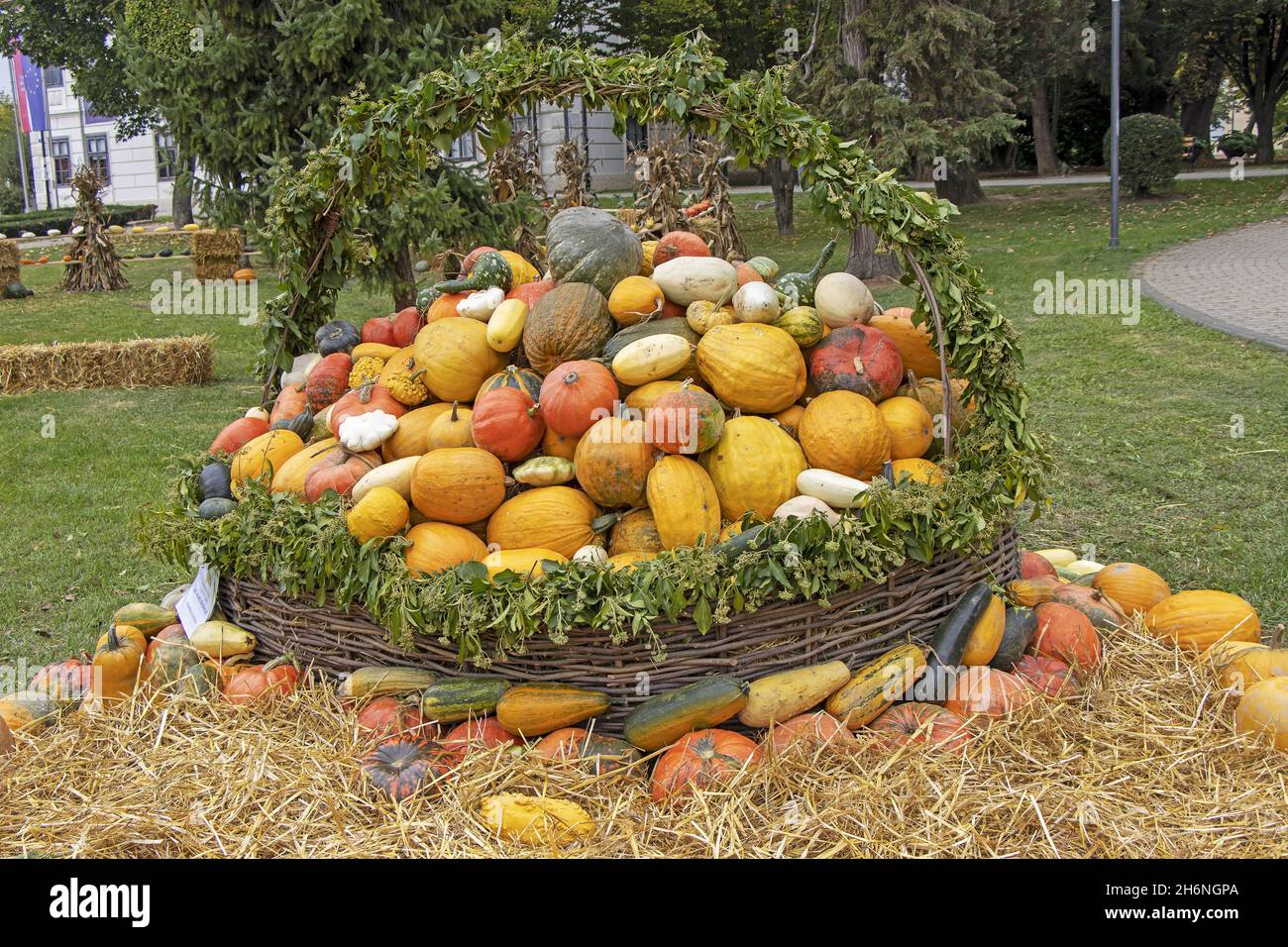 A bunch assorted gourds, zucchini, pumpkin and winter squash Stock ...