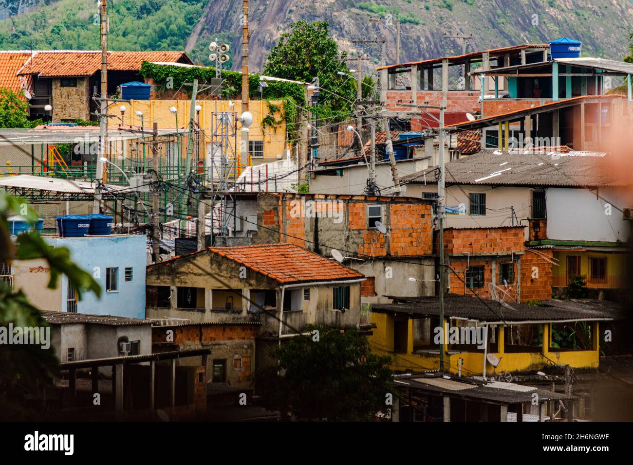 La demografia hi-res stock photography and images - Alamy