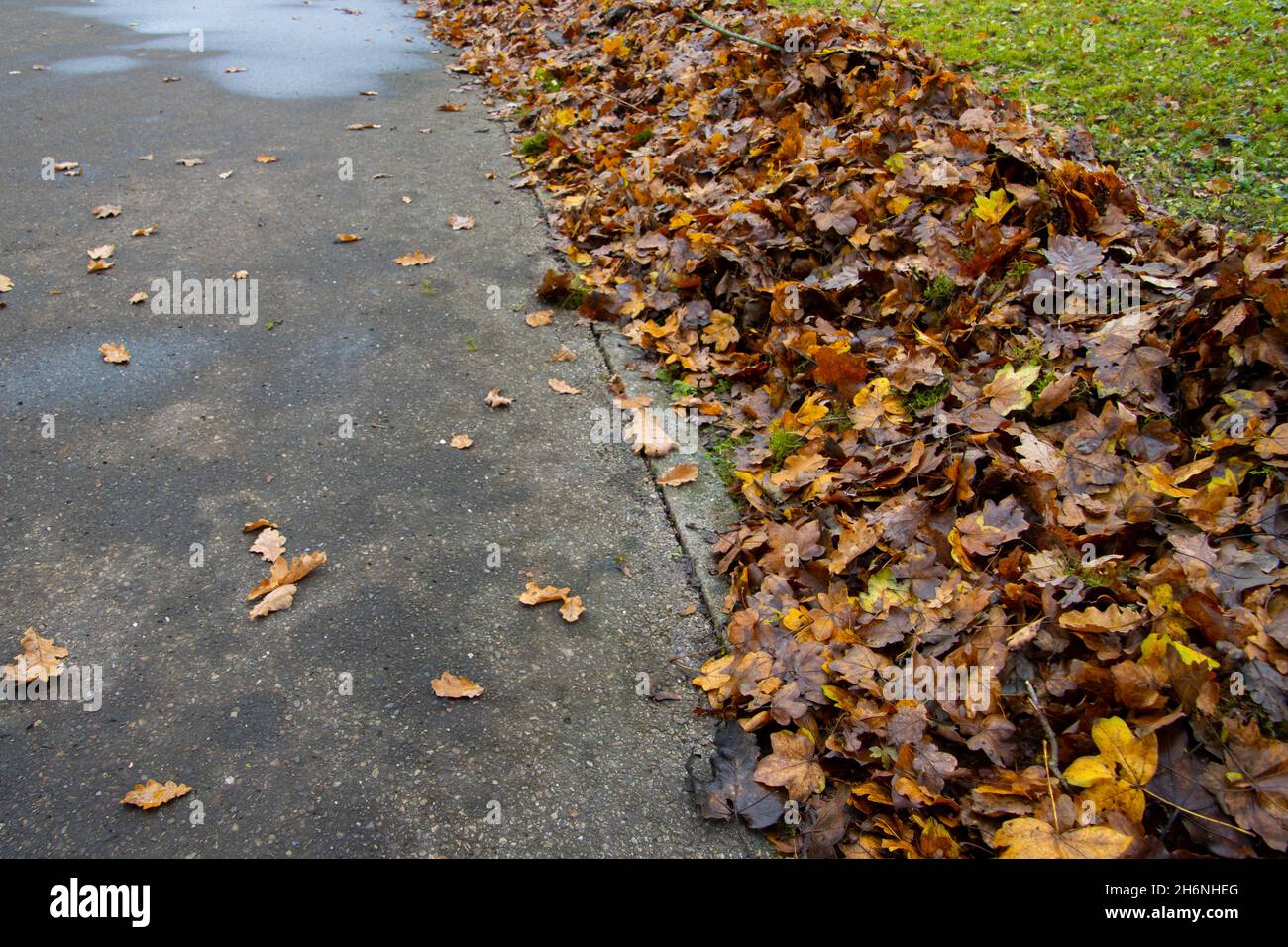 Pile of autumn leaves beside a road Stock Photo - Alamy