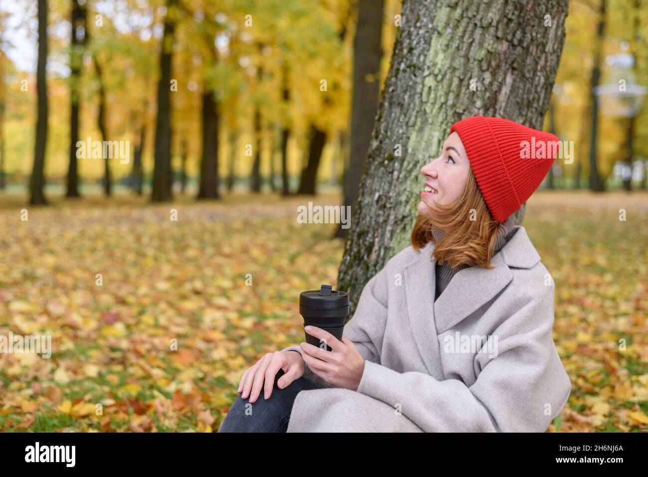 Drinking under the tree hi-res stock photography and images - Alamy