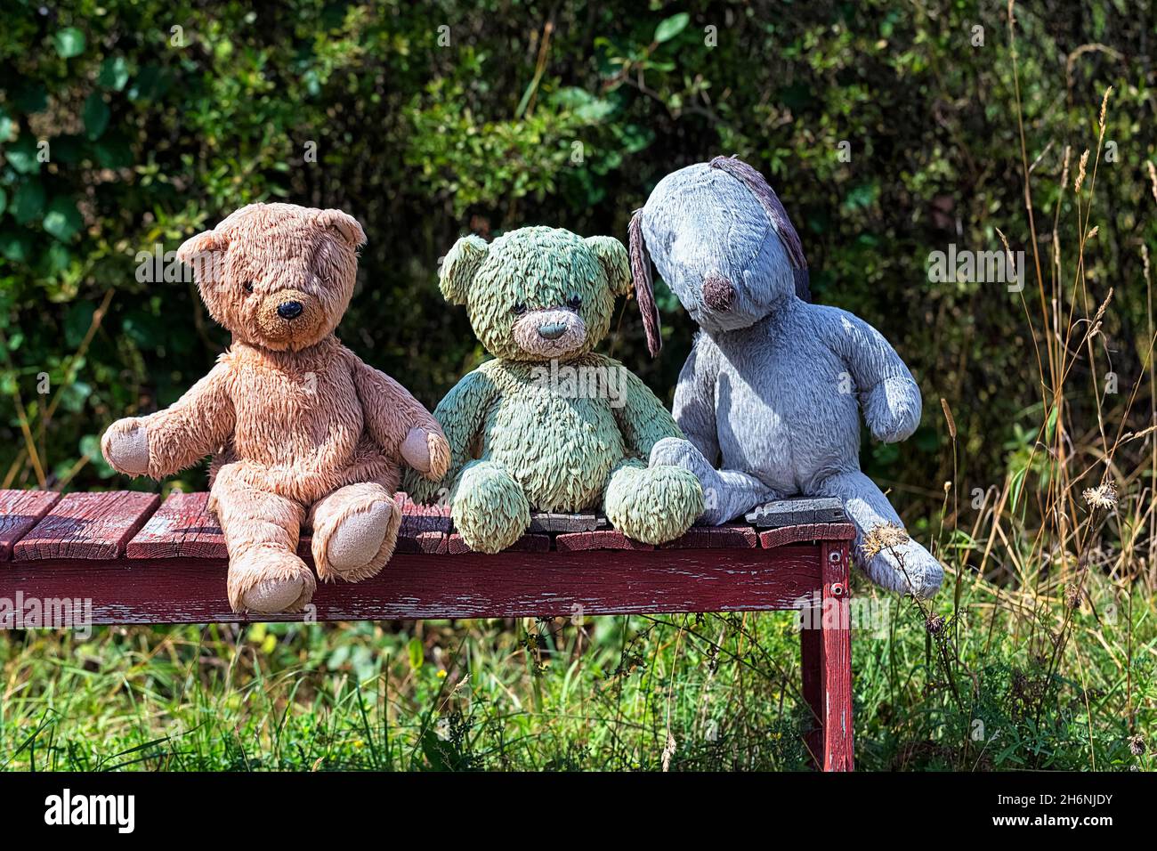 Three different coloured stuffed animals, teddy bears sitting together ...