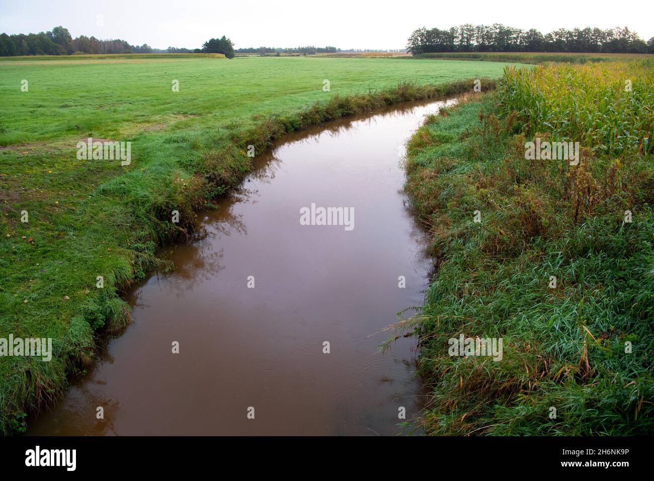 Suedradde, river flowing through cultivated landscape in autumn, Holte ...