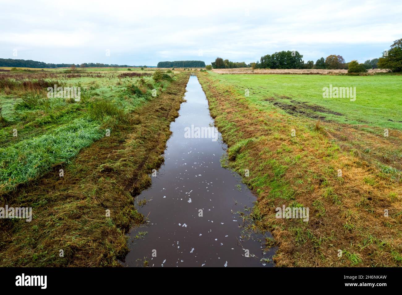 Nester an land hi-res stock photography and images - Alamy