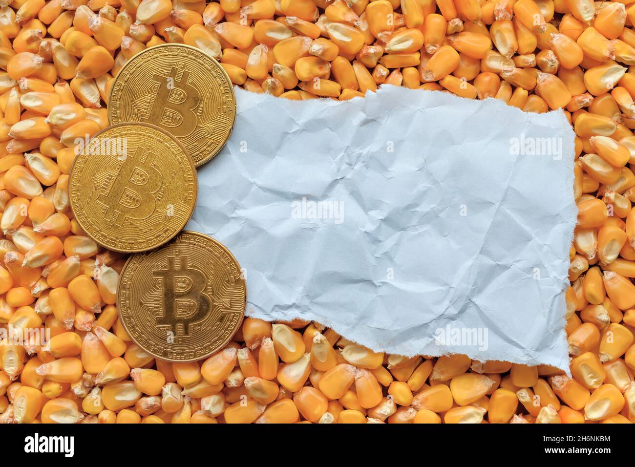 Shelled corn hi-res stock photography and images - Alamy