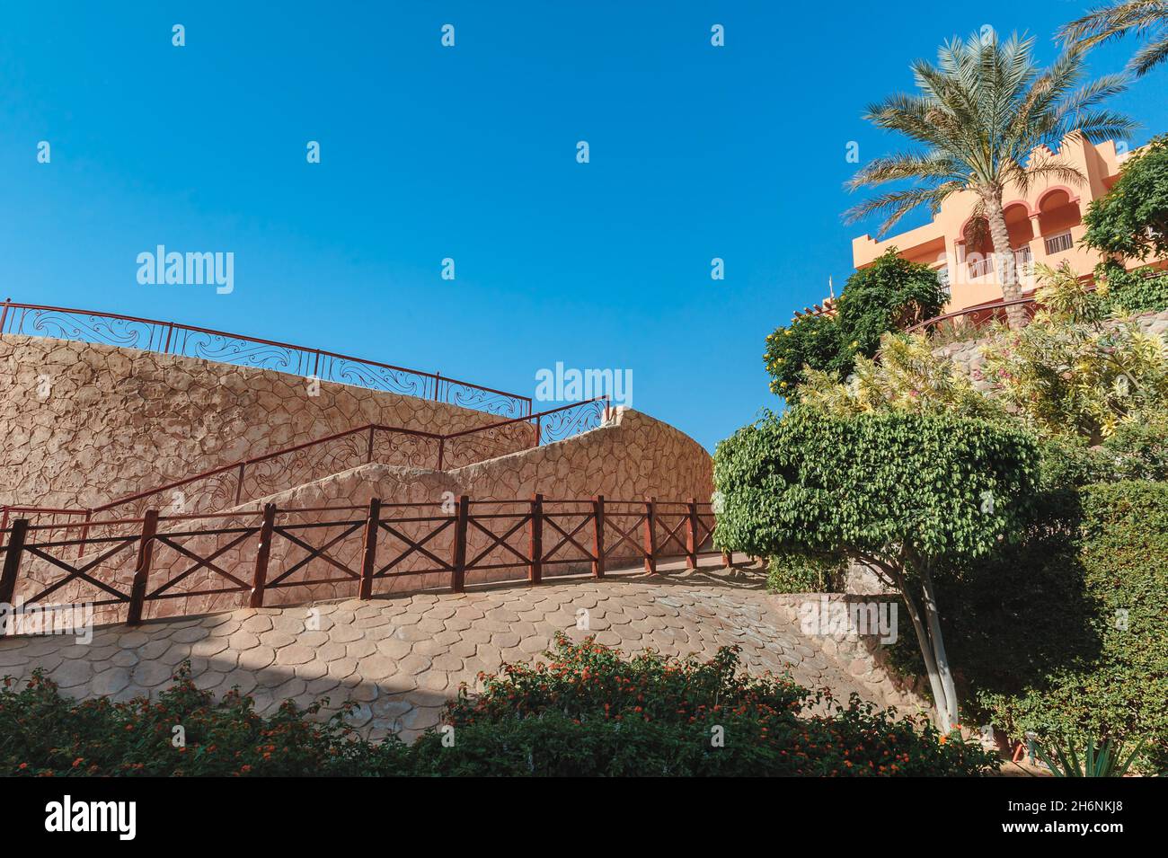 Luxury holiday villa with palm tree Stock Photo - Alamy