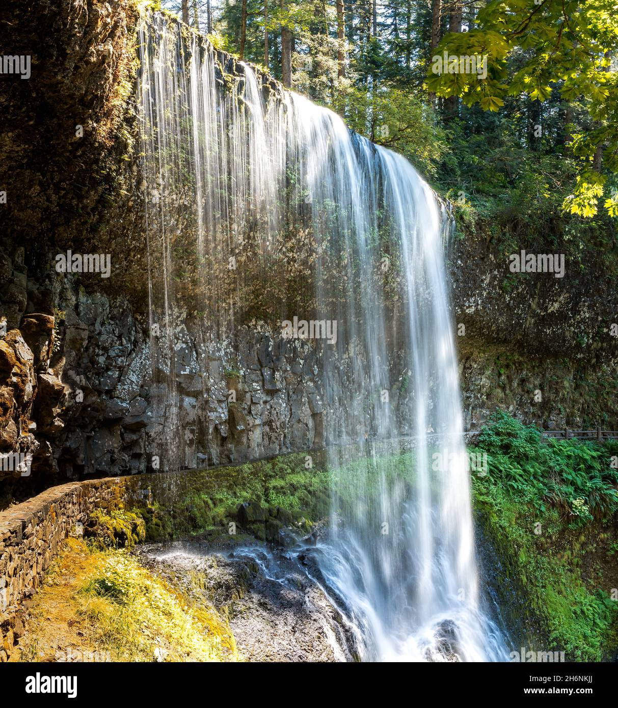 South Falls in the Silver Falls State Park, Oregon Stock Photo - Alamy