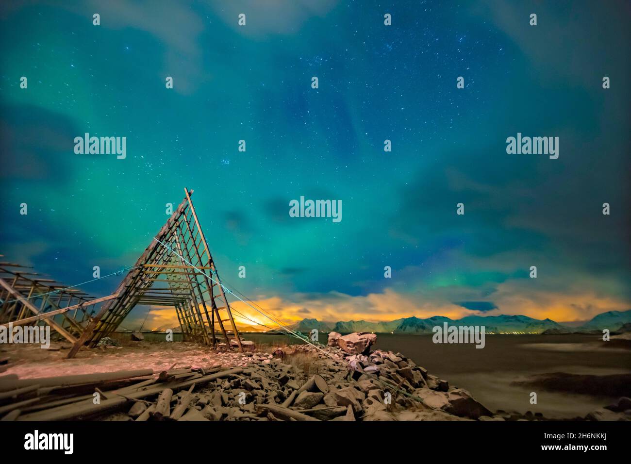 Aurora borealis over a worker in a wooden stockfish rack, Svolvaer ...