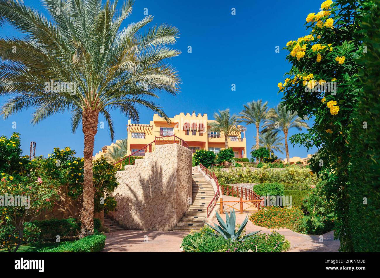 Luxury holiday villa with palm tree Stock Photo - Alamy