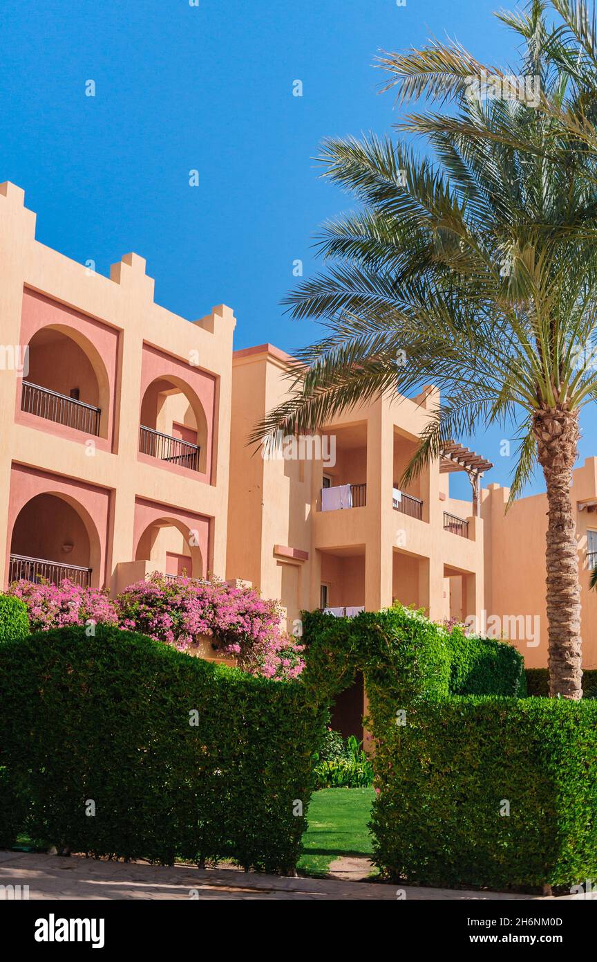 Luxury holiday villa with palm tree Stock Photo - Alamy