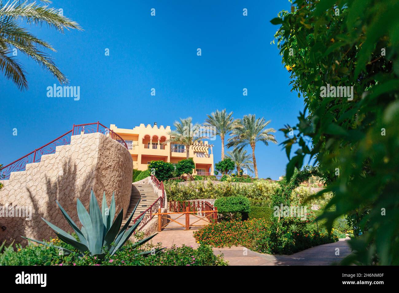 Luxury holiday villa with palm tree Stock Photo - Alamy