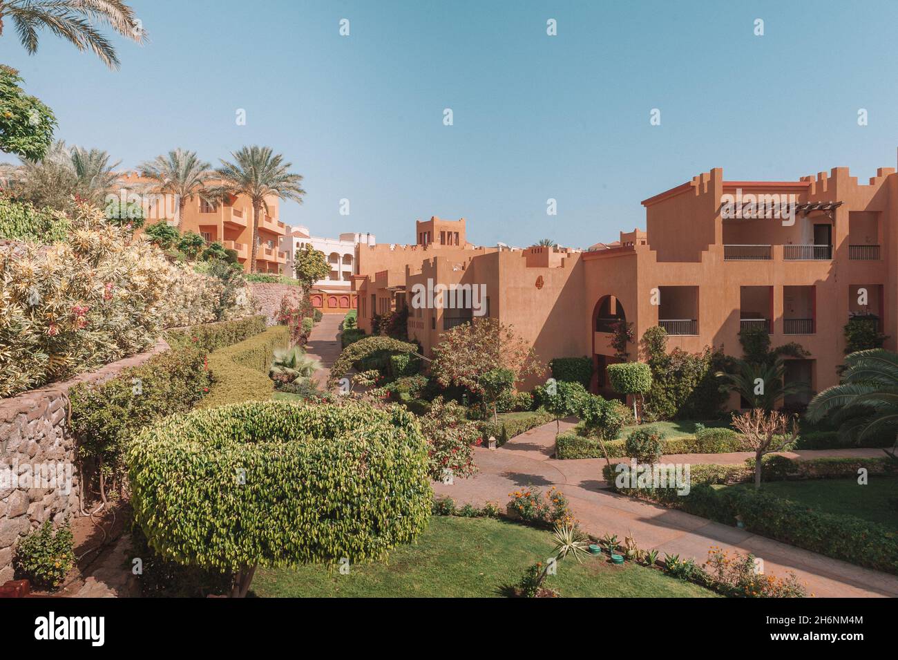 Luxury holiday villa with palm tree Stock Photo - Alamy