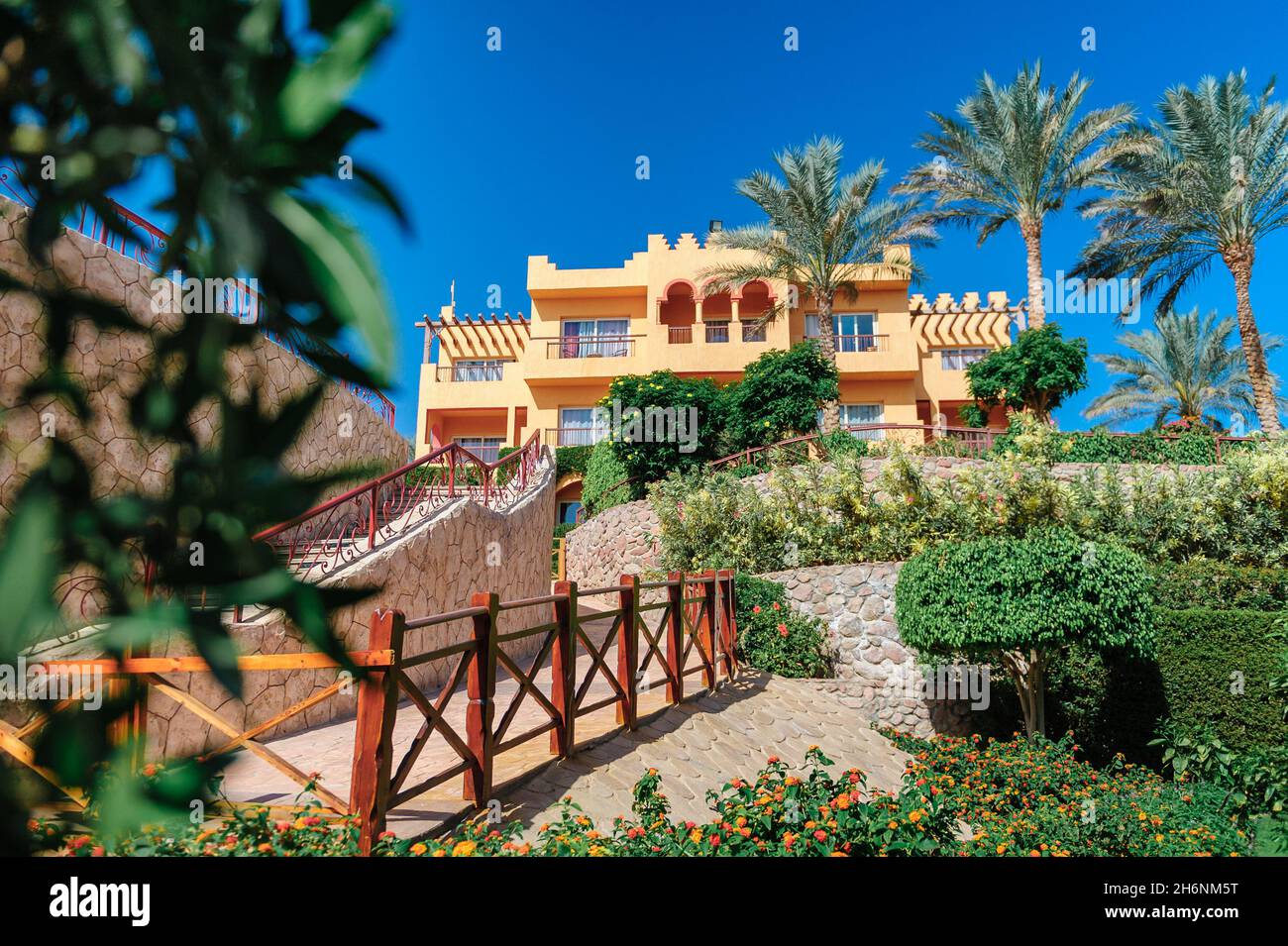 Luxury holiday villa with palm tree Stock Photo - Alamy