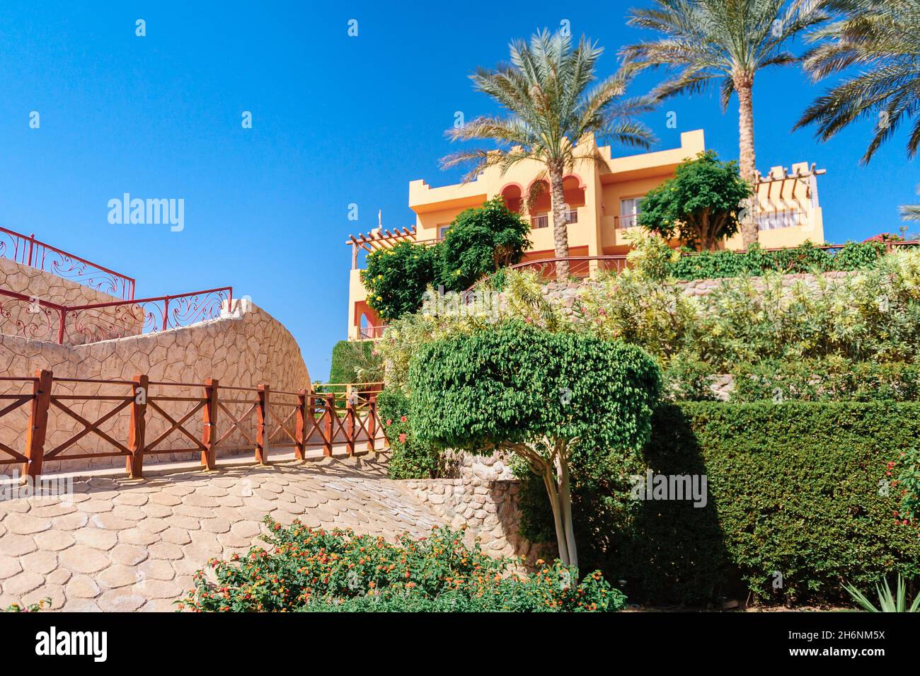 Luxury holiday villa with palm tree Stock Photo - Alamy