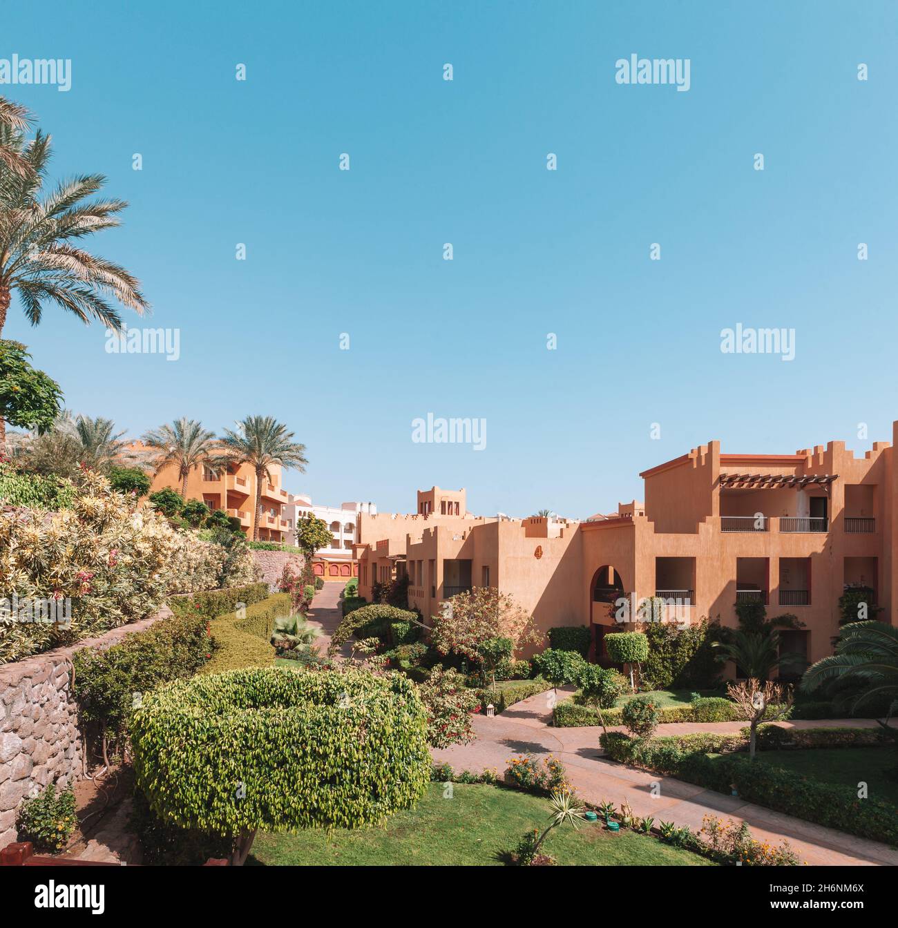 Luxury holiday villa with palm tree Stock Photo - Alamy