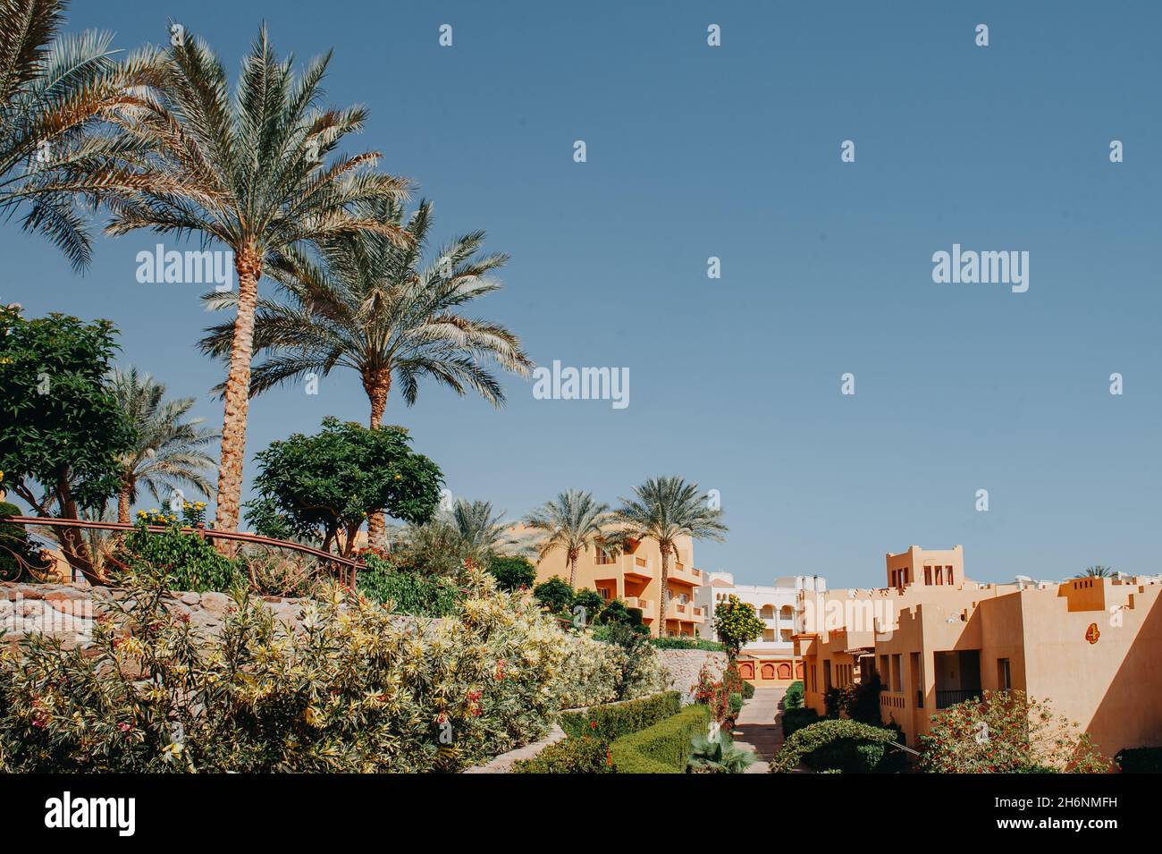Luxury holiday villa with palm tree Stock Photo - Alamy
