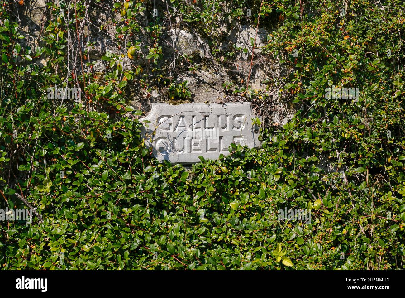 Gallusquelle hi-res stock photography and images - Alamy