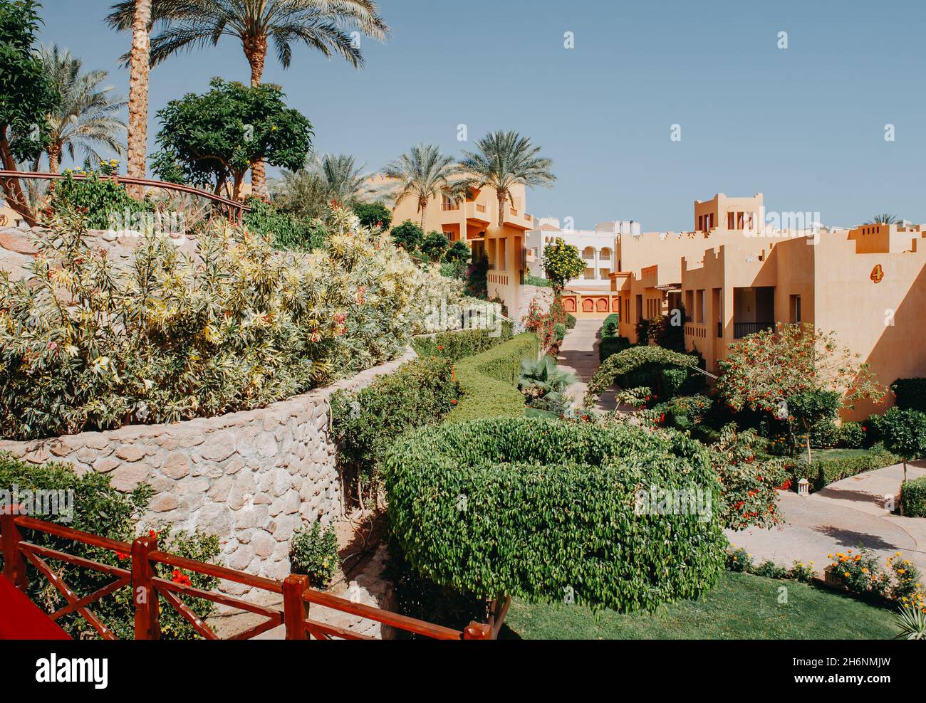 Luxury holiday villa with palm tree Stock Photo - Alamy