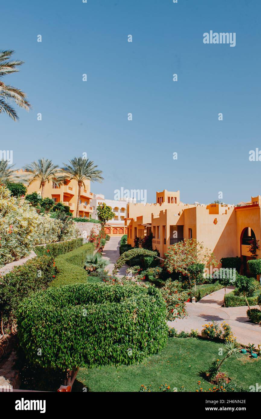 Luxury holiday villa with palm tree Stock Photo - Alamy
