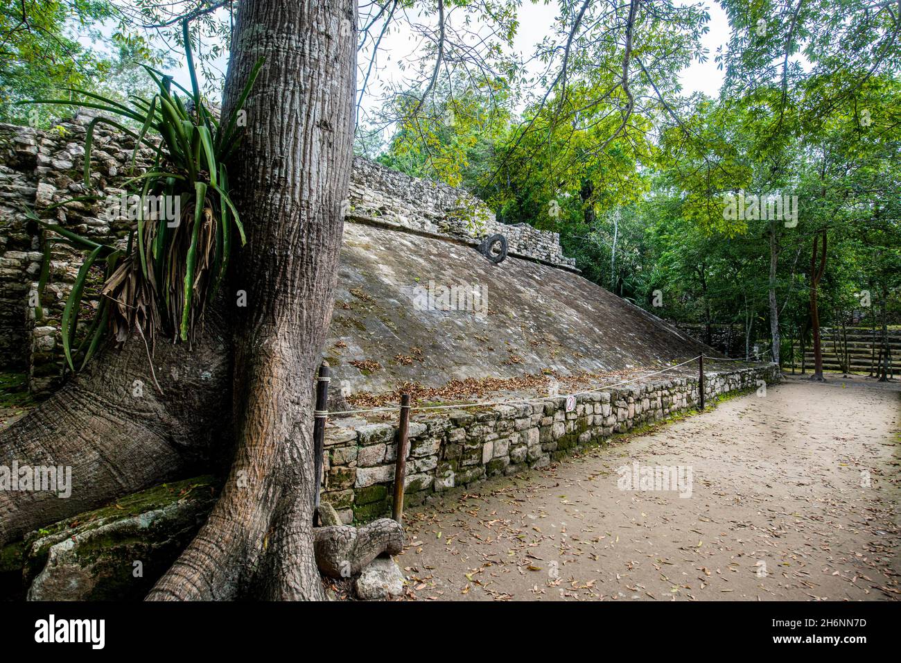 The archeological Maya site Coba, Quintana Roo, Mexico Stock Photo - Alamy