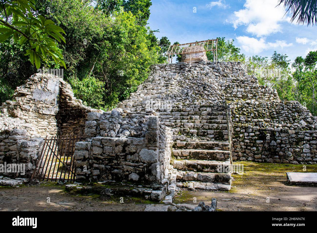 The archeological Maya site Coba, Quintana Roo, Mexico Stock Photo - Alamy