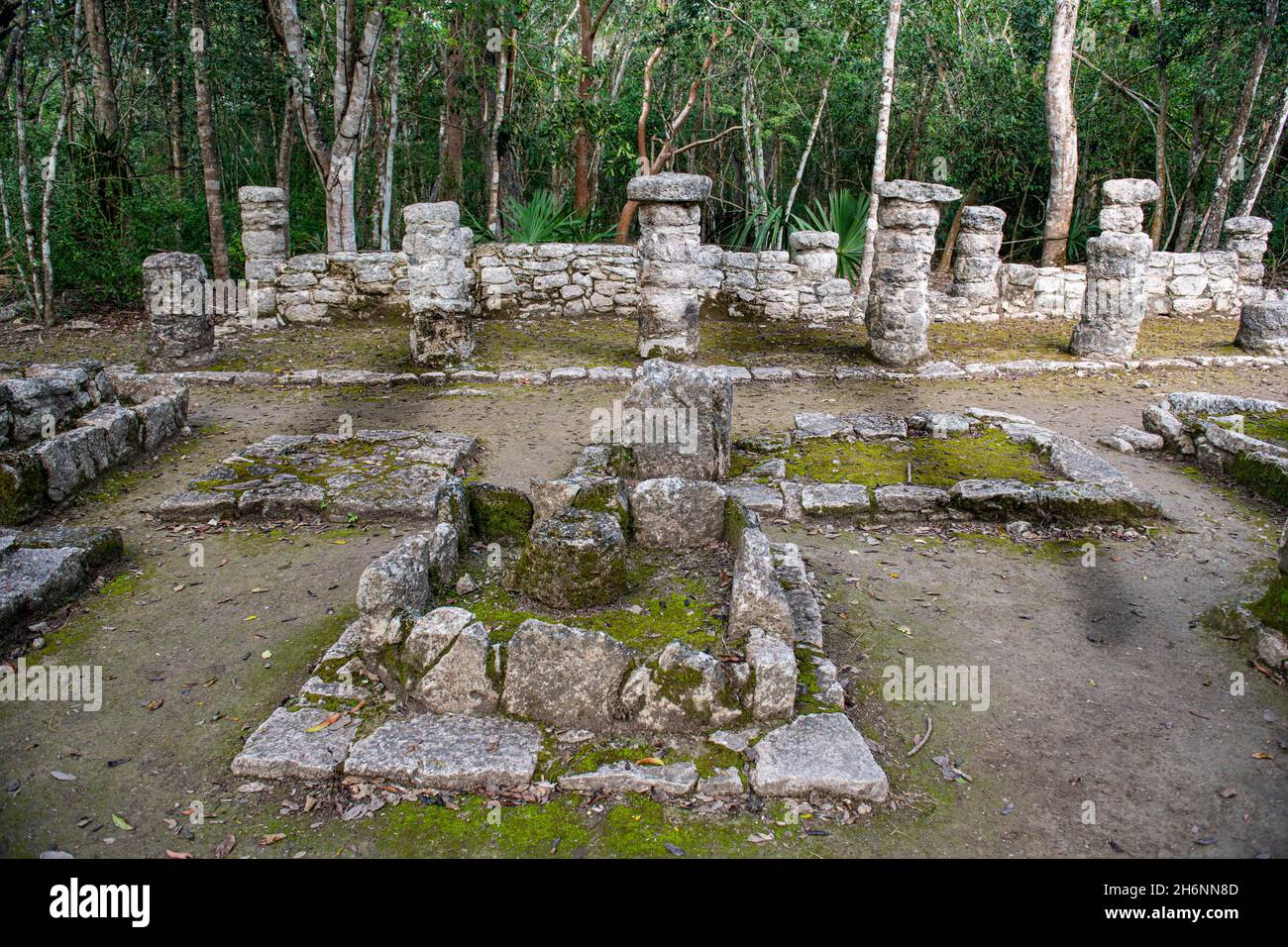 The archeological Maya site Coba, Quintana Roo, Mexico Stock Photo - Alamy