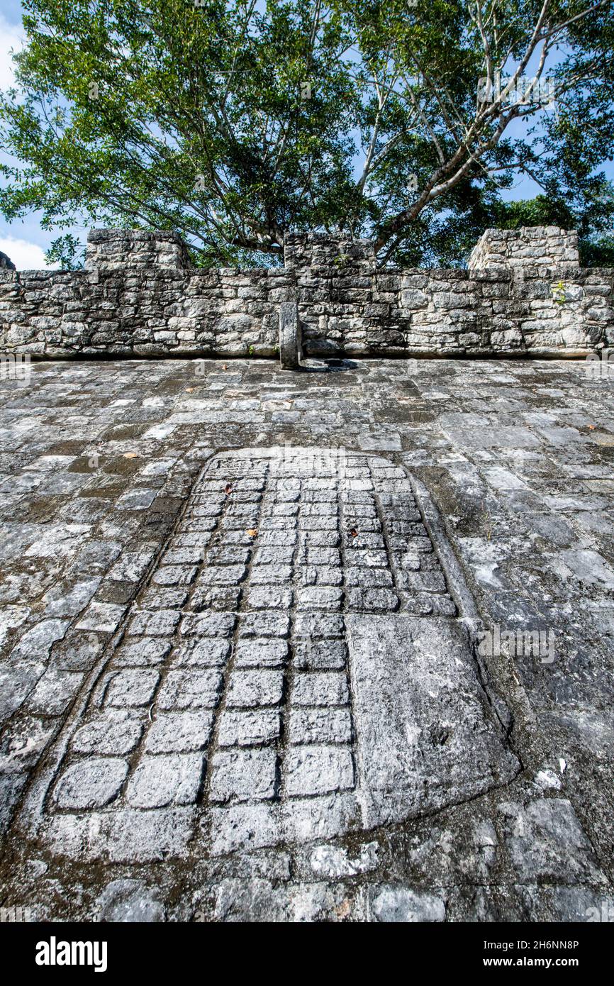 The archeological Maya site Coba, Quintana Roo, Mexico Stock Photo - Alamy