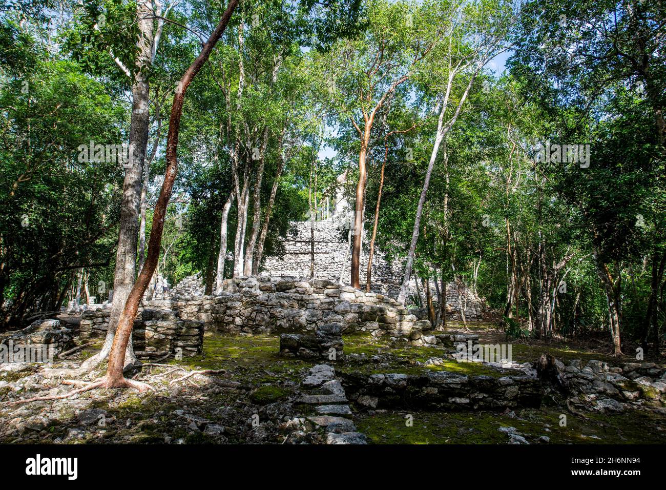 The archeological Maya site Coba, Quintana Roo, Mexico Stock Photo - Alamy