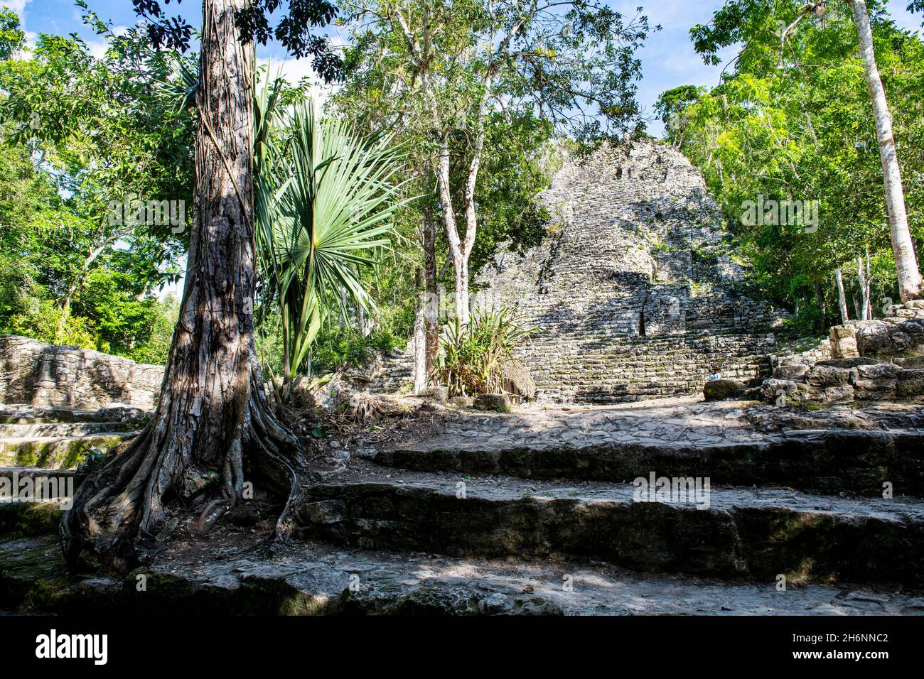The archeological Maya site Coba, Quintana Roo, Mexico Stock Photo - Alamy