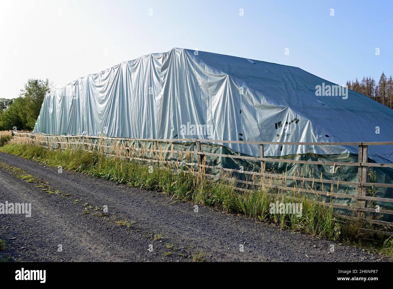 Spruce wood storage Process for wood conservation, Arnsberg Forest ...