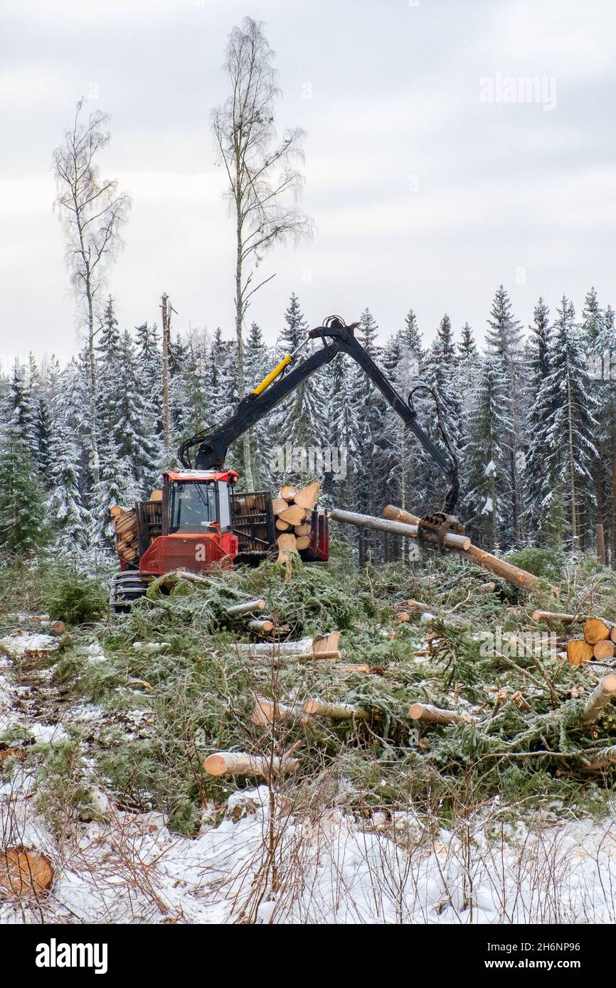 Forwarder load logs on a clear cut in the winter Stock Photo - Alamy