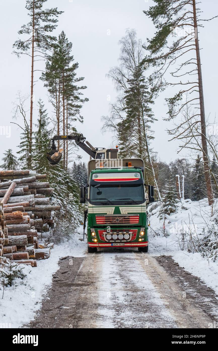Logging truck loading timber on a dirt road in a wintry forest Stock ...